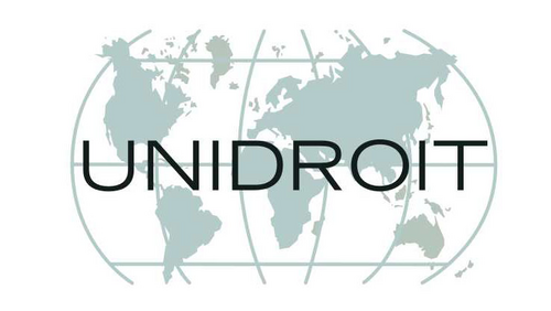 ELI Observer Participates in the UNIDROIT Working Group on Digital ...